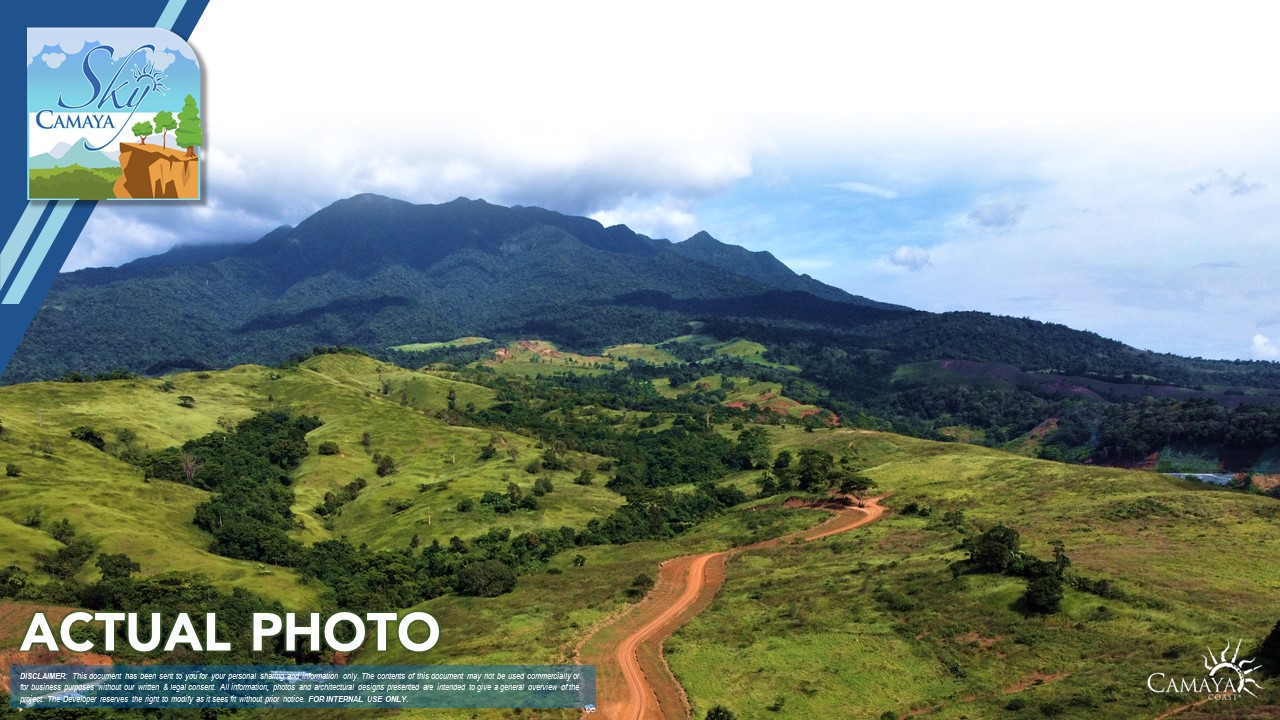 Camaya Coast Real Estate Properties